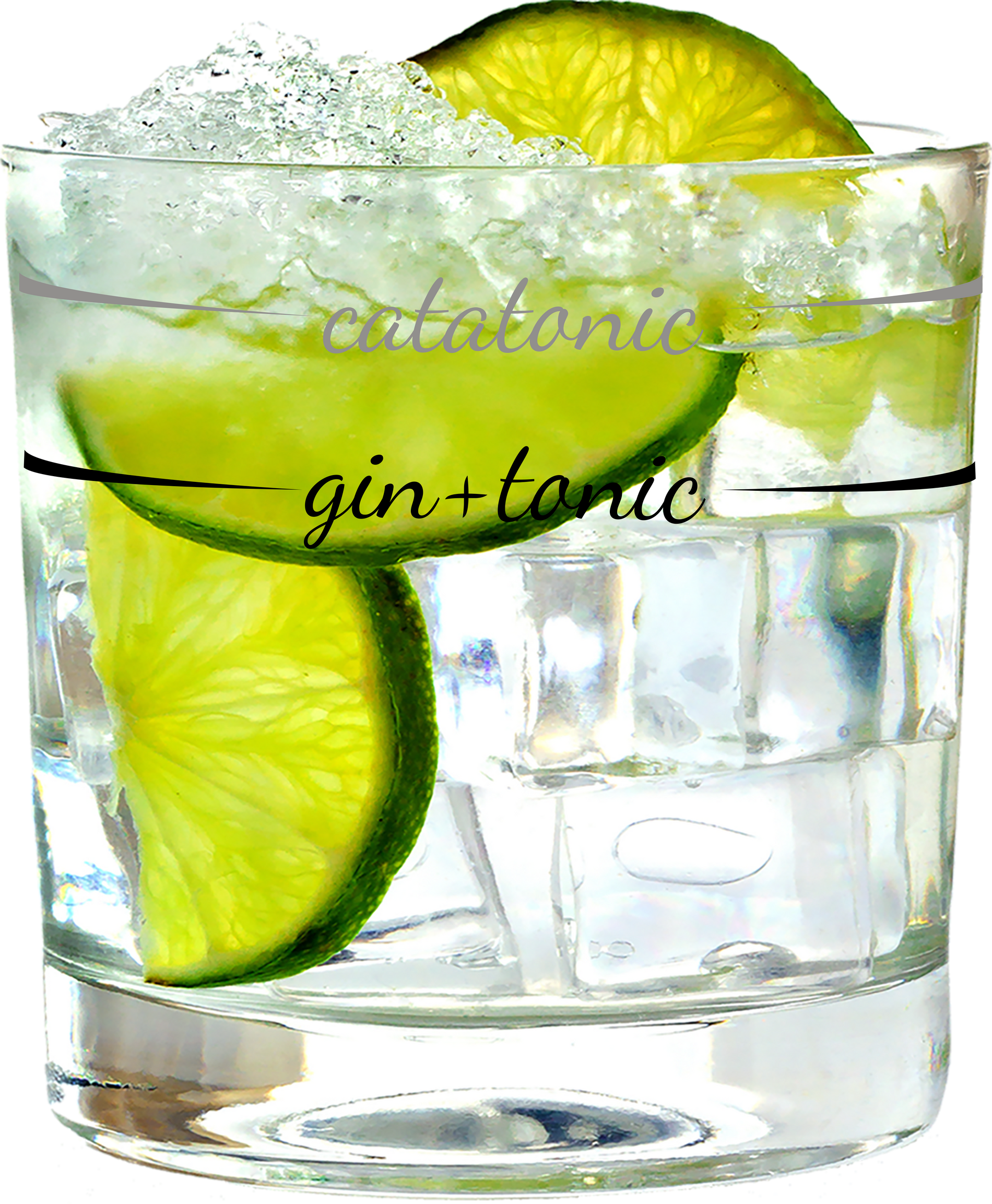 Gin and Tonic Drinking Glasses|Best Glasses for Gin and Tonic ...